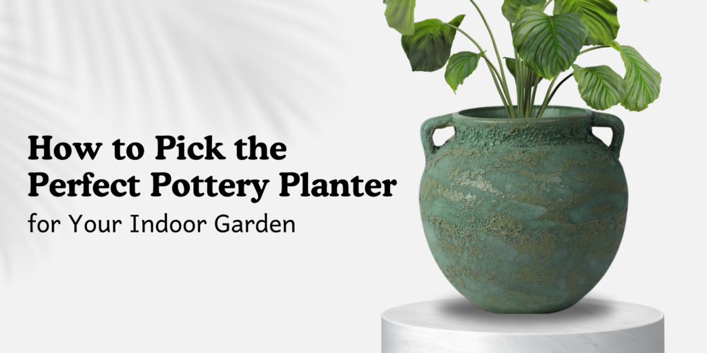 How to Pick the Perfect Pottery Planter for Your Indoor Garden – Serakriti